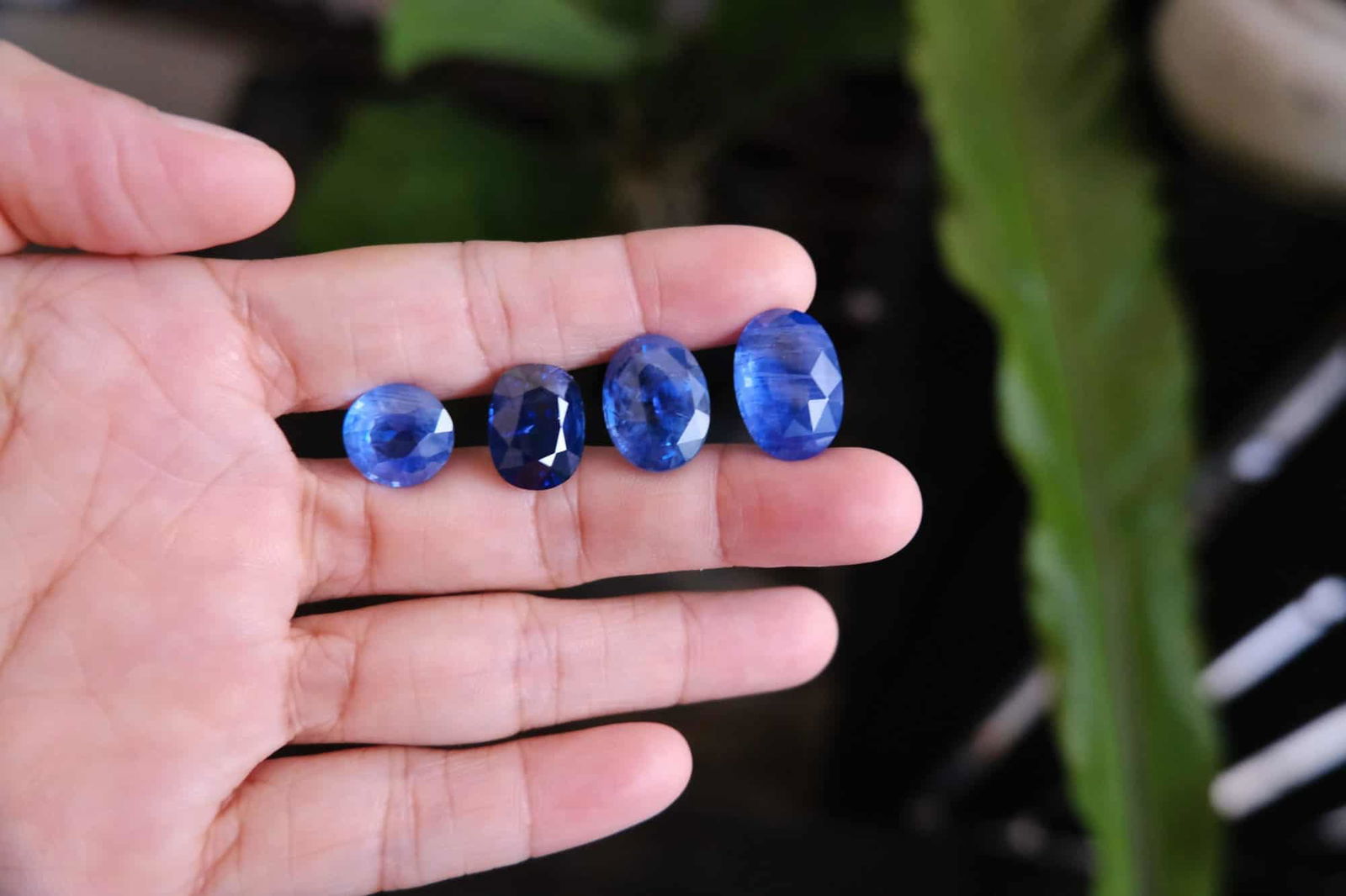 10ct Natural Royal Blue Sapphire Gem Stone | GEM GARDENER