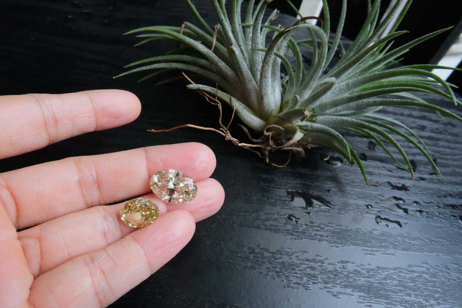 7ct Light Yellow Oval Brilliant Diamond Natural | Gem Gardener